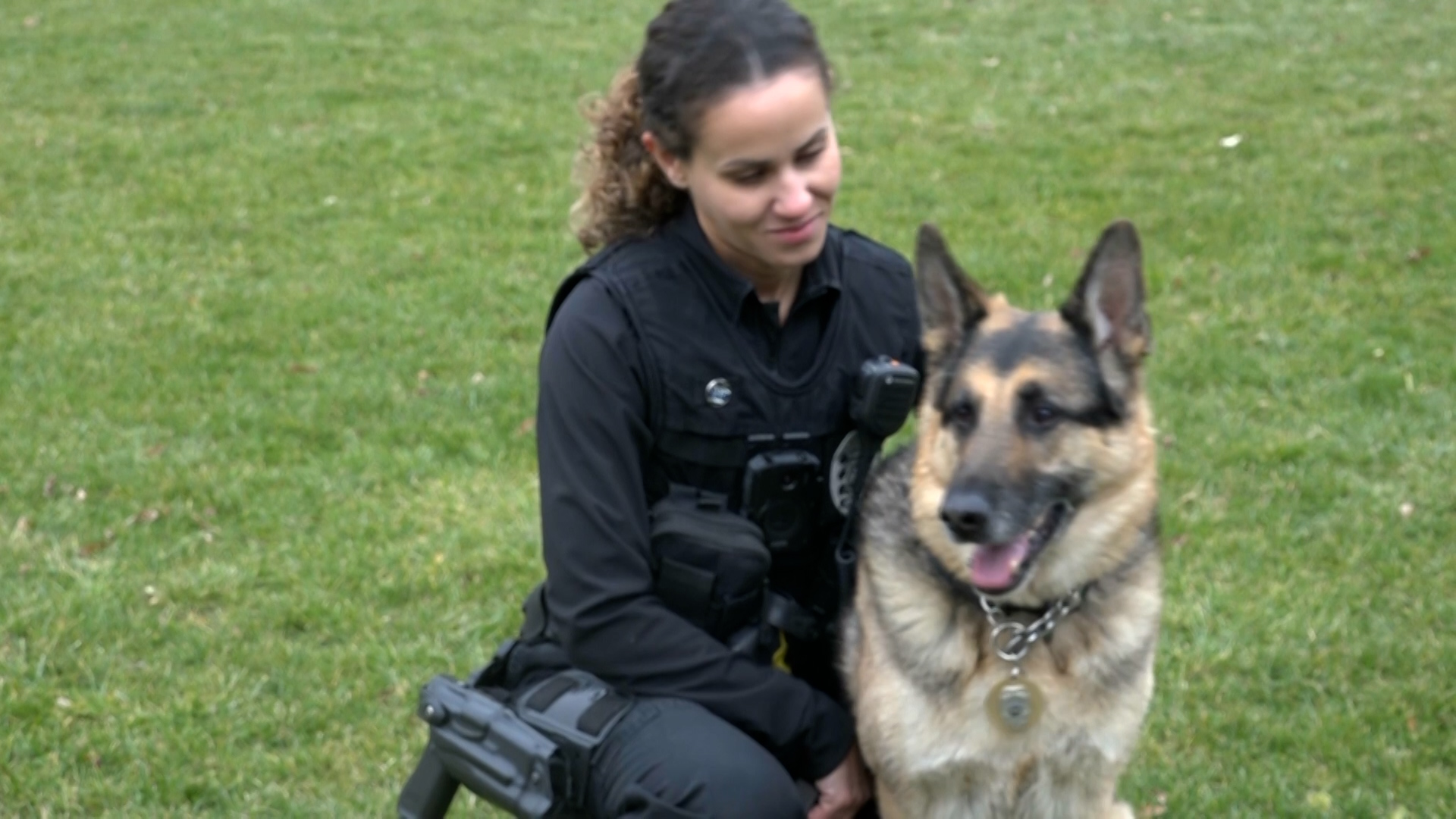 A look at Temple’s K9’s - Temple Update