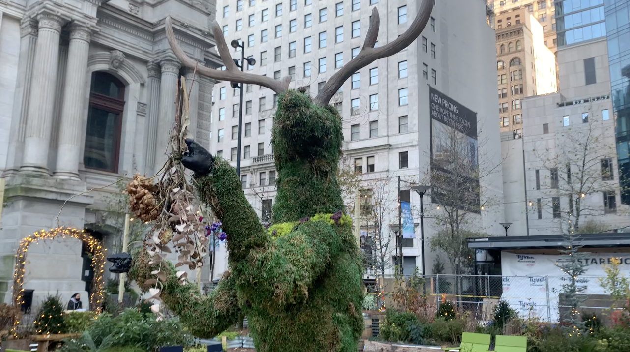 Wintergarden Opens at City Hall - Temple Update